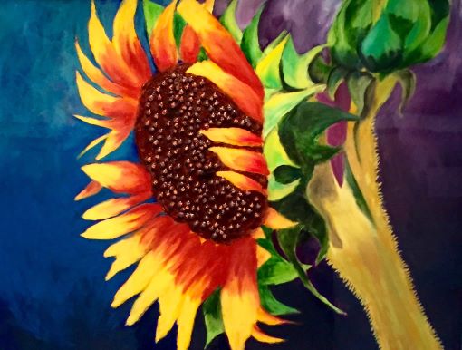 JMarlinArt (Artwork & Web Design By Jason Rosenstock)